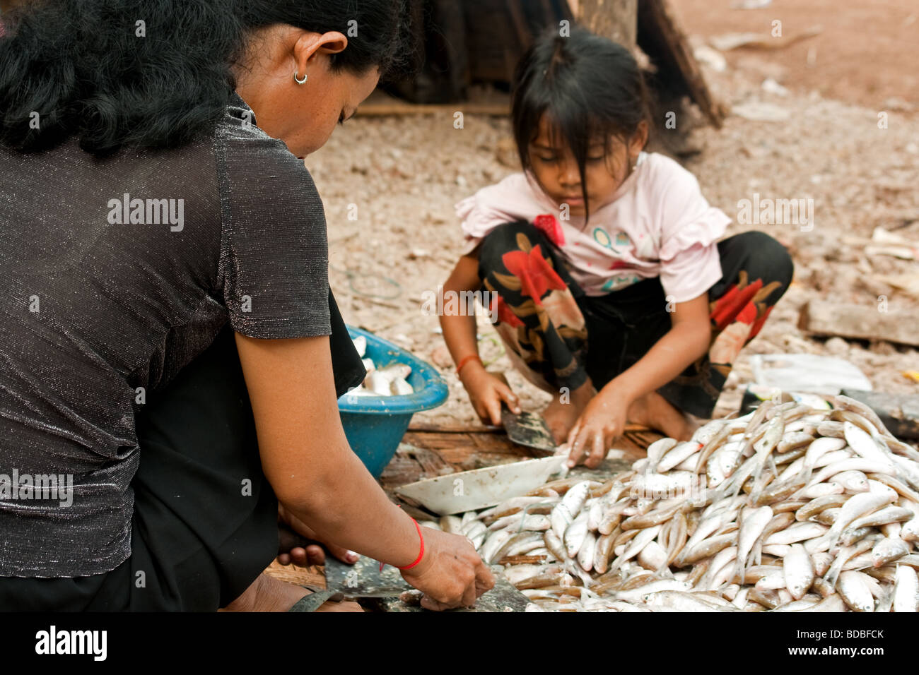 Female gutting fish hi-res stock photography and images - Alamy