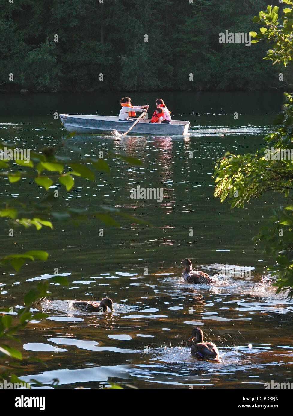 Family of three sitting on row boat in lake with lifesavers on and one ...