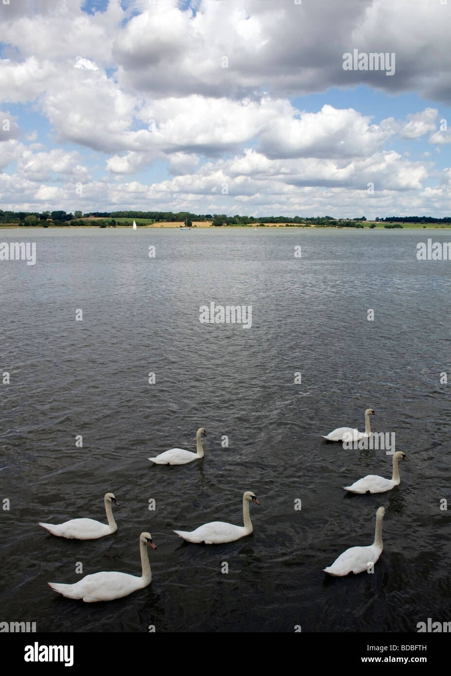 Essex stour river hi-res stock photography and images - Alamy