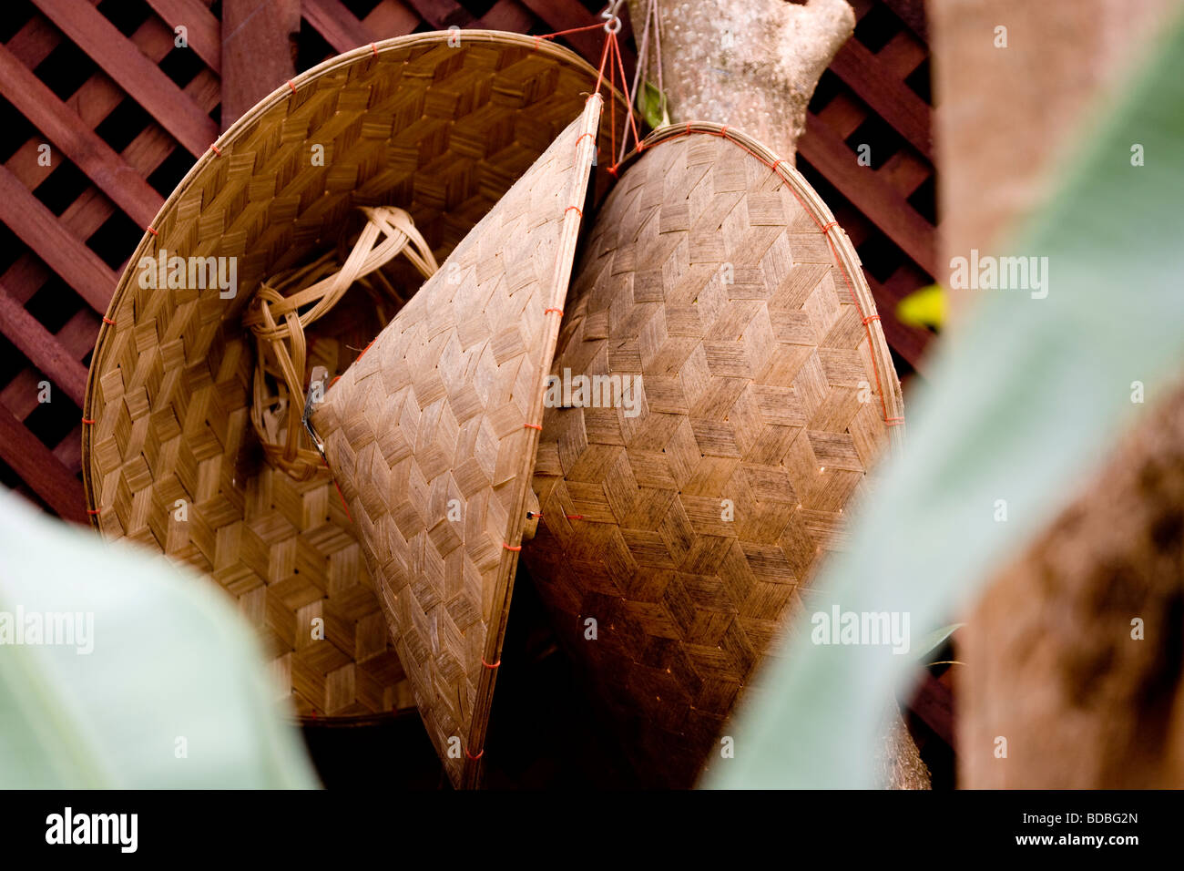 Asian conical hats hi-res stock photography and images - Alamy