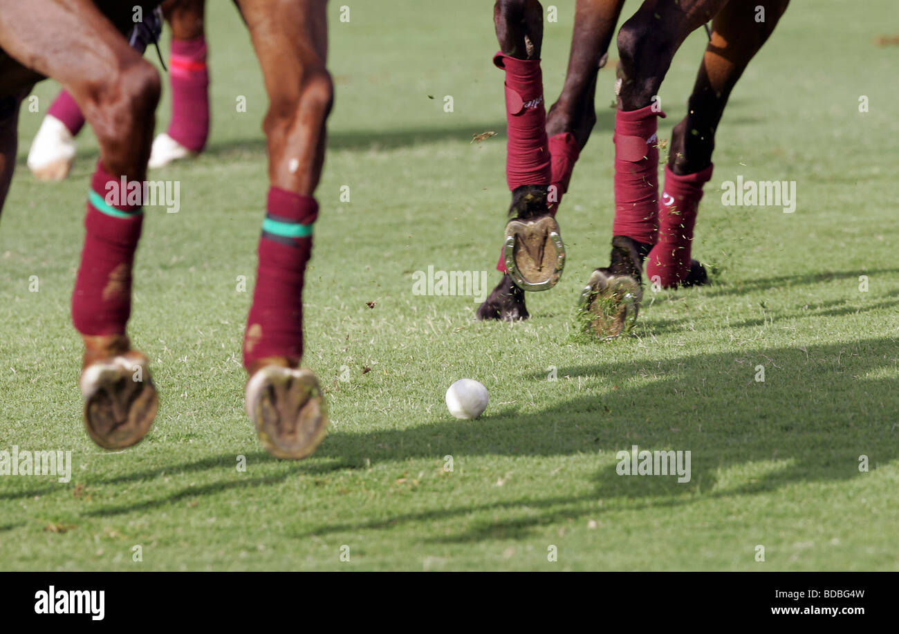 Polo game hi-res stock photography and images - Alamy