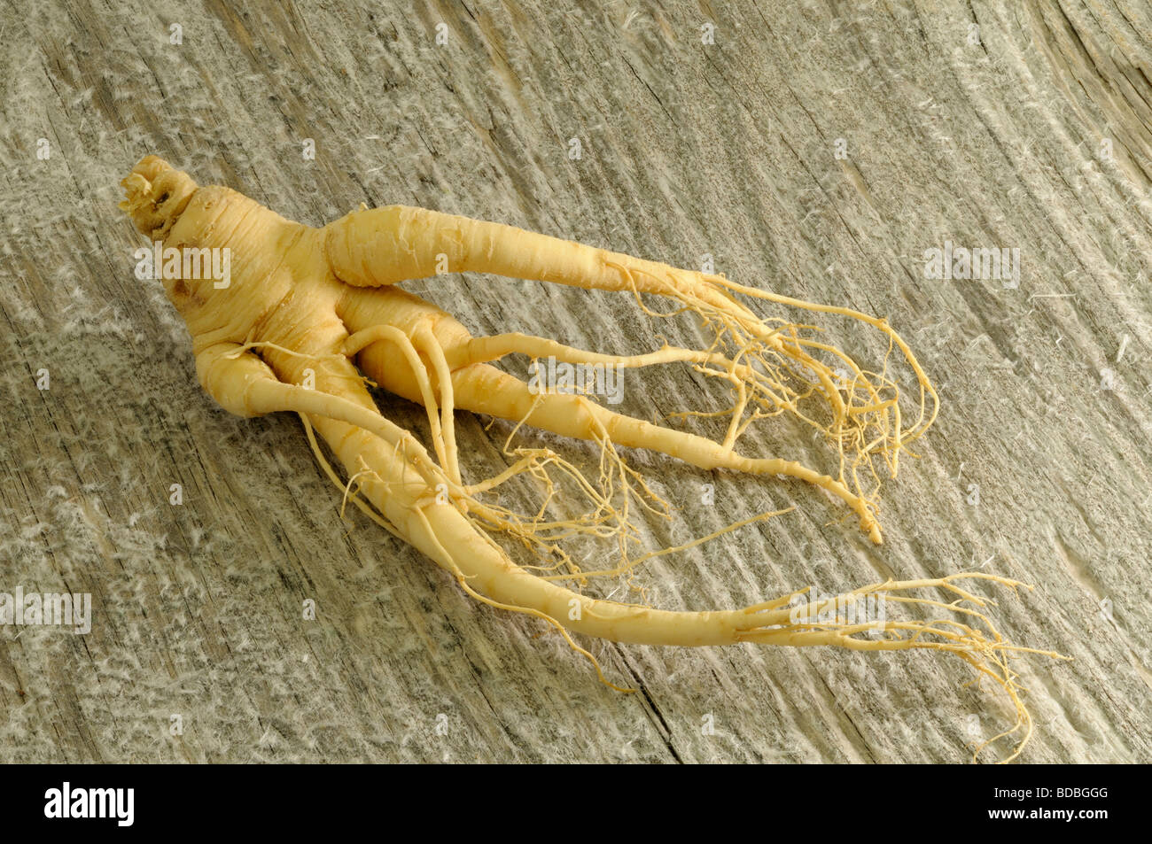 Ginseng (Panax ginseng). Root on wooden surface, studio picture Stock ...