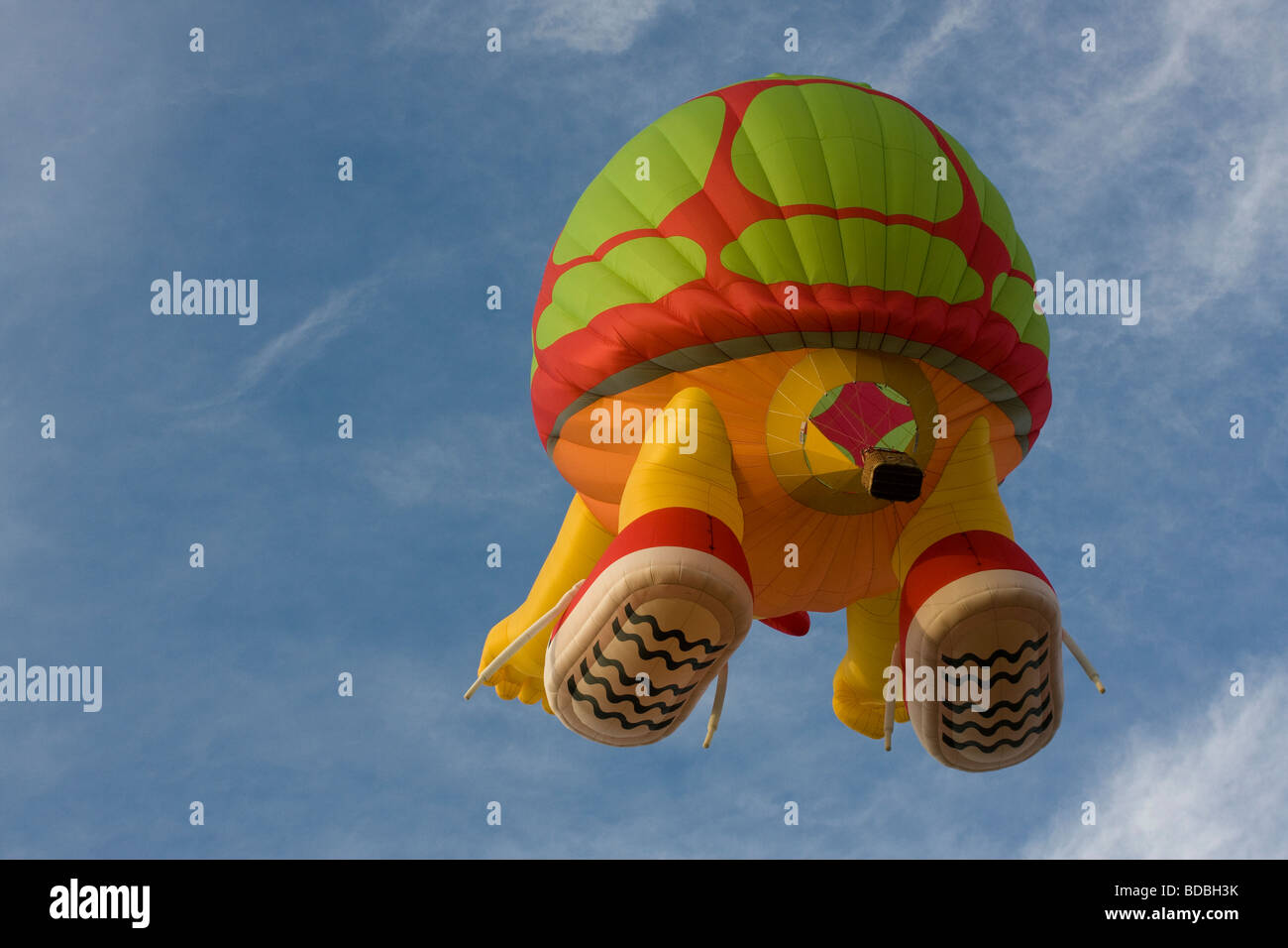 Turtle shaped hot air balloon Stock Photo - Alamy