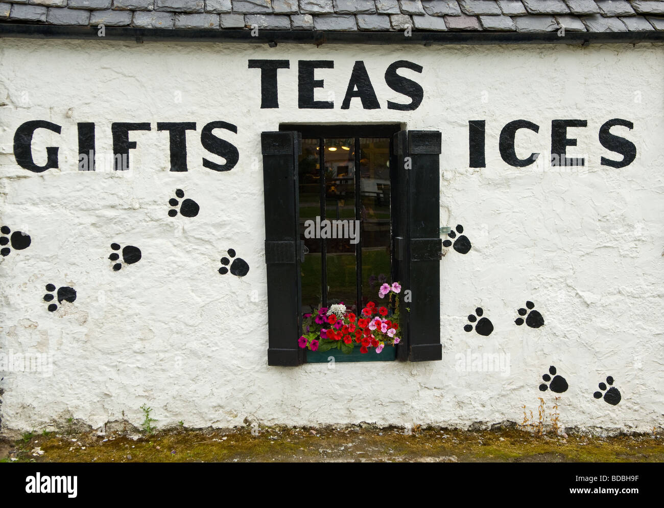 For sale sign flower prints hi-res stock photography and images - Alamy