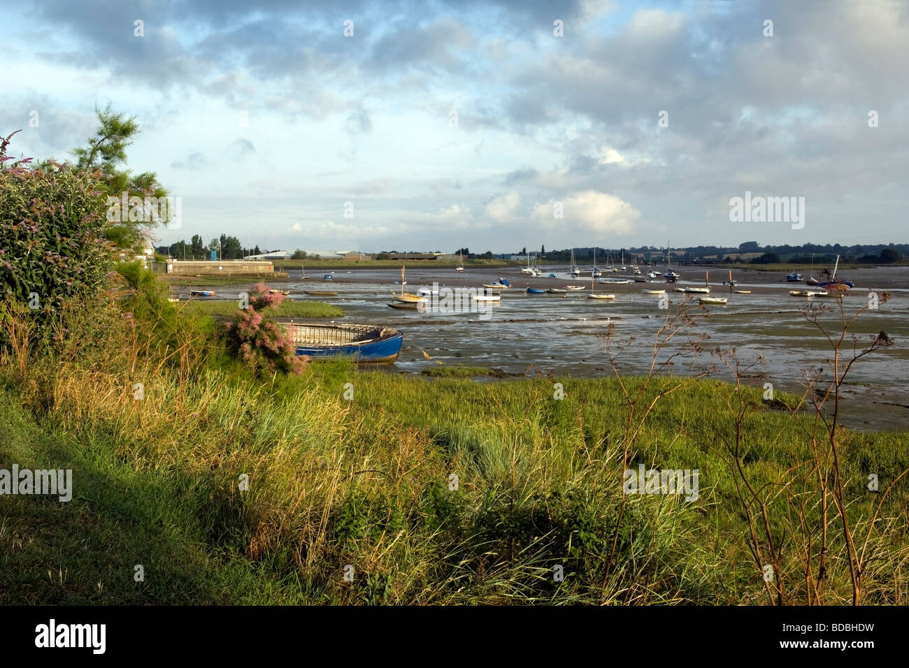 Morning light over the estuary of the River Stour Stock Photo - Alamy