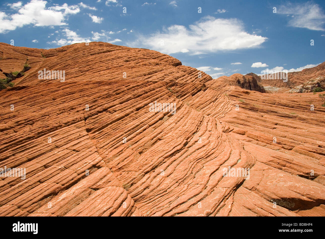 Petrified and dunes hi-res stock photography and images - Alamy