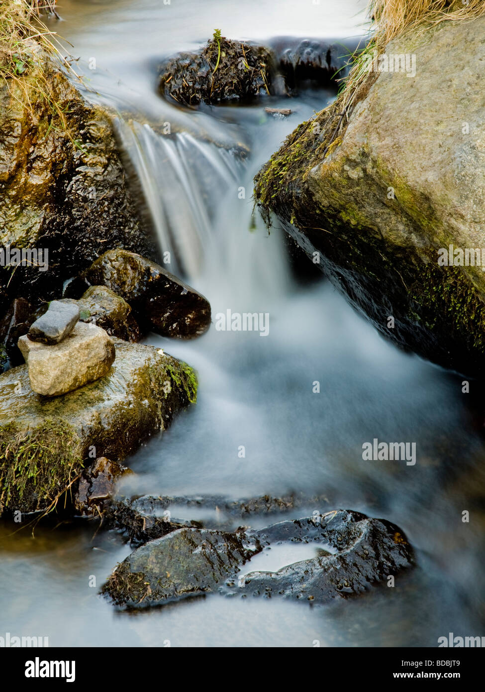 Flowing stream at Druidston Haen, Pembrokeshire, West Wales, UK Stock ...