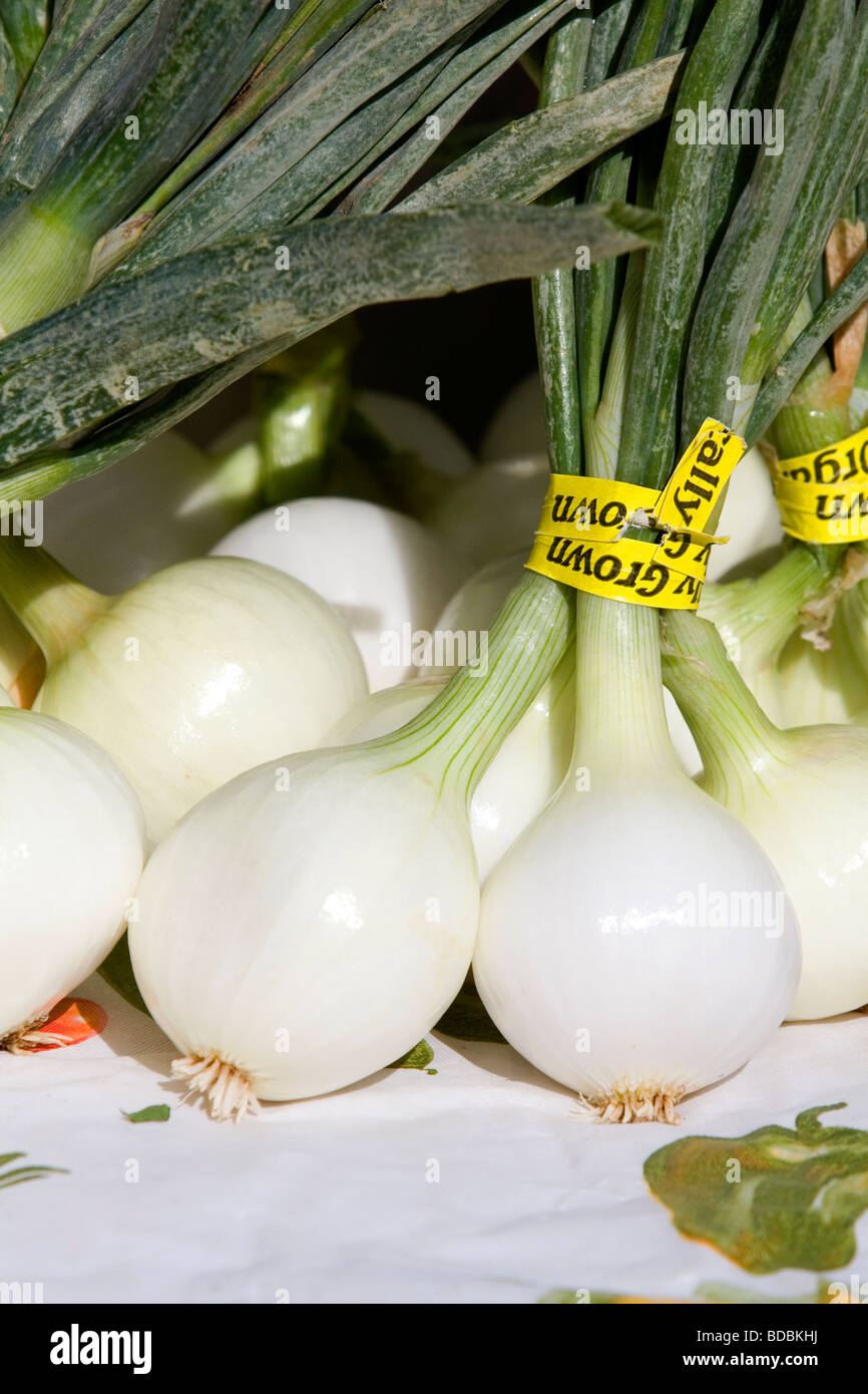 Spring onions grown organically being sold at a farmers market in Boise ...