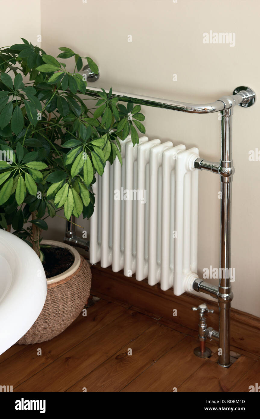 Close up of green houseplant and white radiator with integral chrome ...