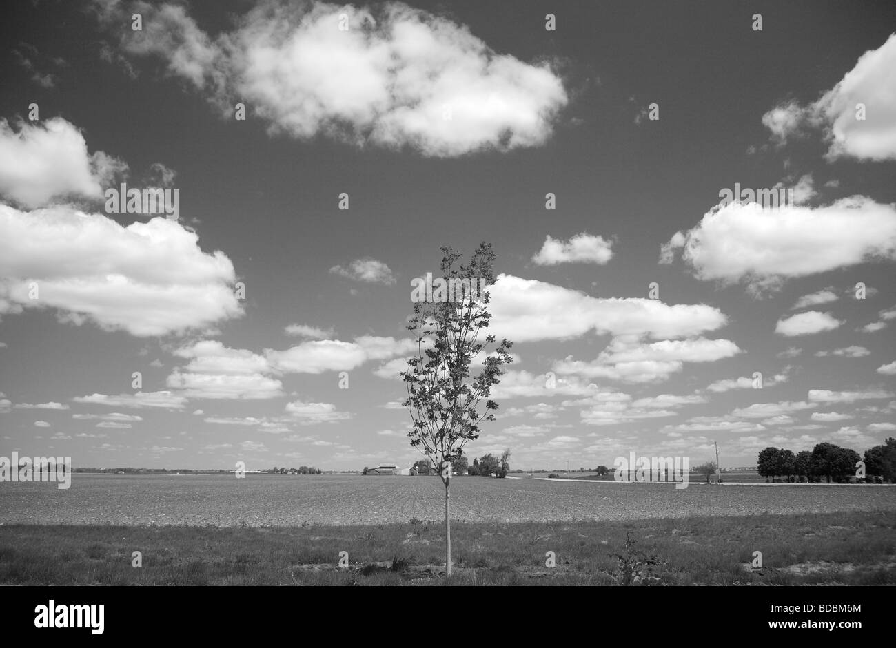 Small farm usa Black and White Stock Photos & Images - Alamy