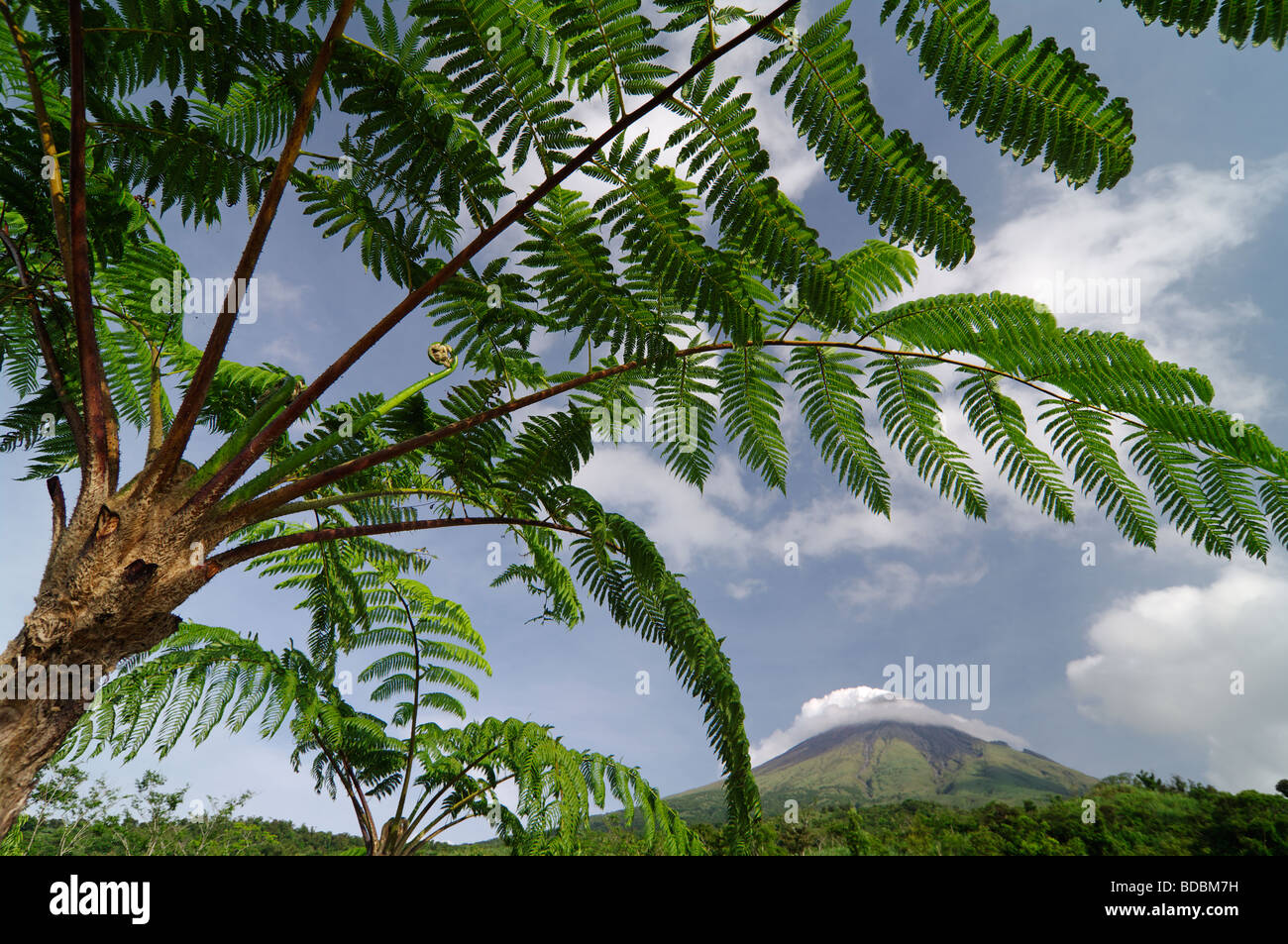 Mount Mayon volcano, Albay, Bicol, Southeast Luzon, Philippines Stock ...