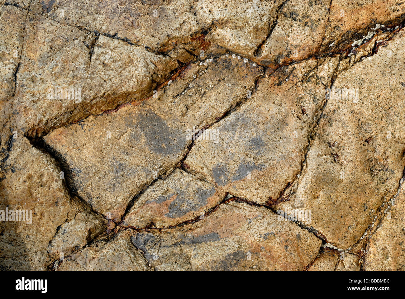 Cracked rock texture for background images Stock Photo - Alamy