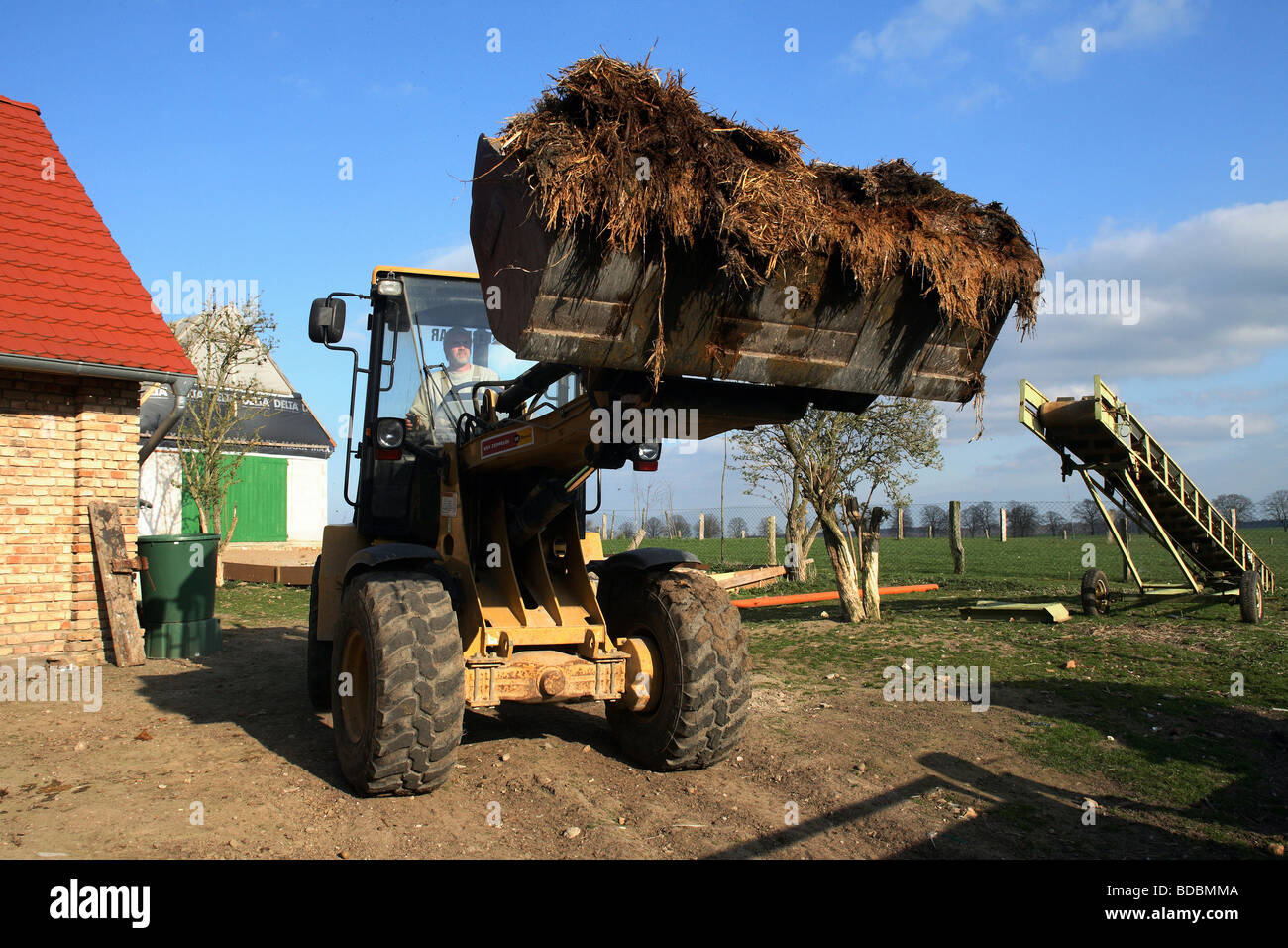 Wheel loader transporting cow dung, Prangendorf, Germany Stock Photo ...