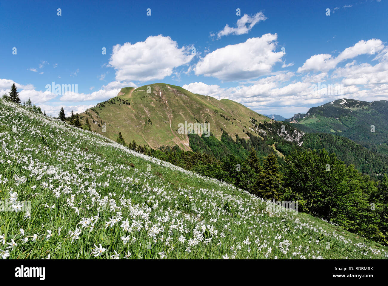 Karavanke range hi-res stock photography and images - Alamy