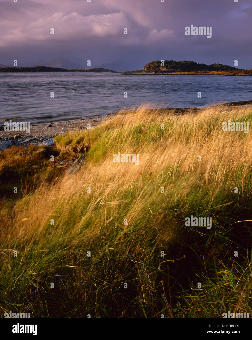 Firth of Lorn, viewed from the Isle of Eriska, Argyll, Scotland, UK ...