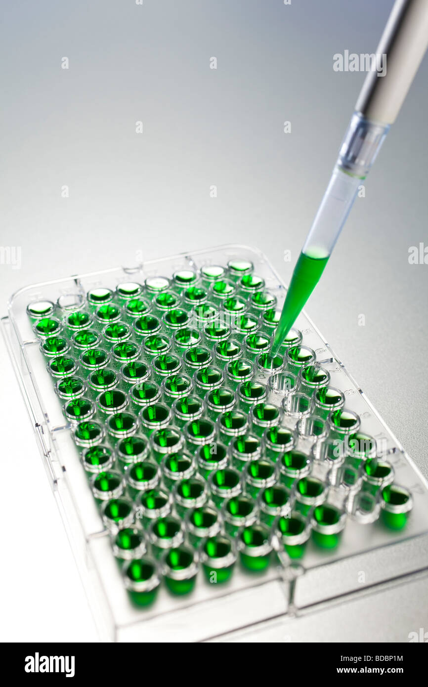Pipette 96 well plate hi-res stock photography and images - Alamy