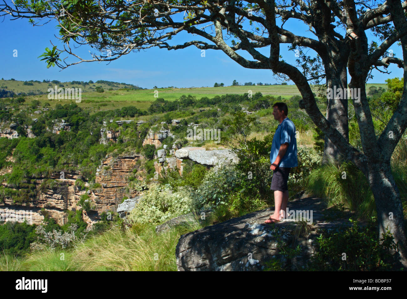 Oribi Gorge Nature Reserve, Kwazulu Natal, South Africa Stock Photo - Alamy