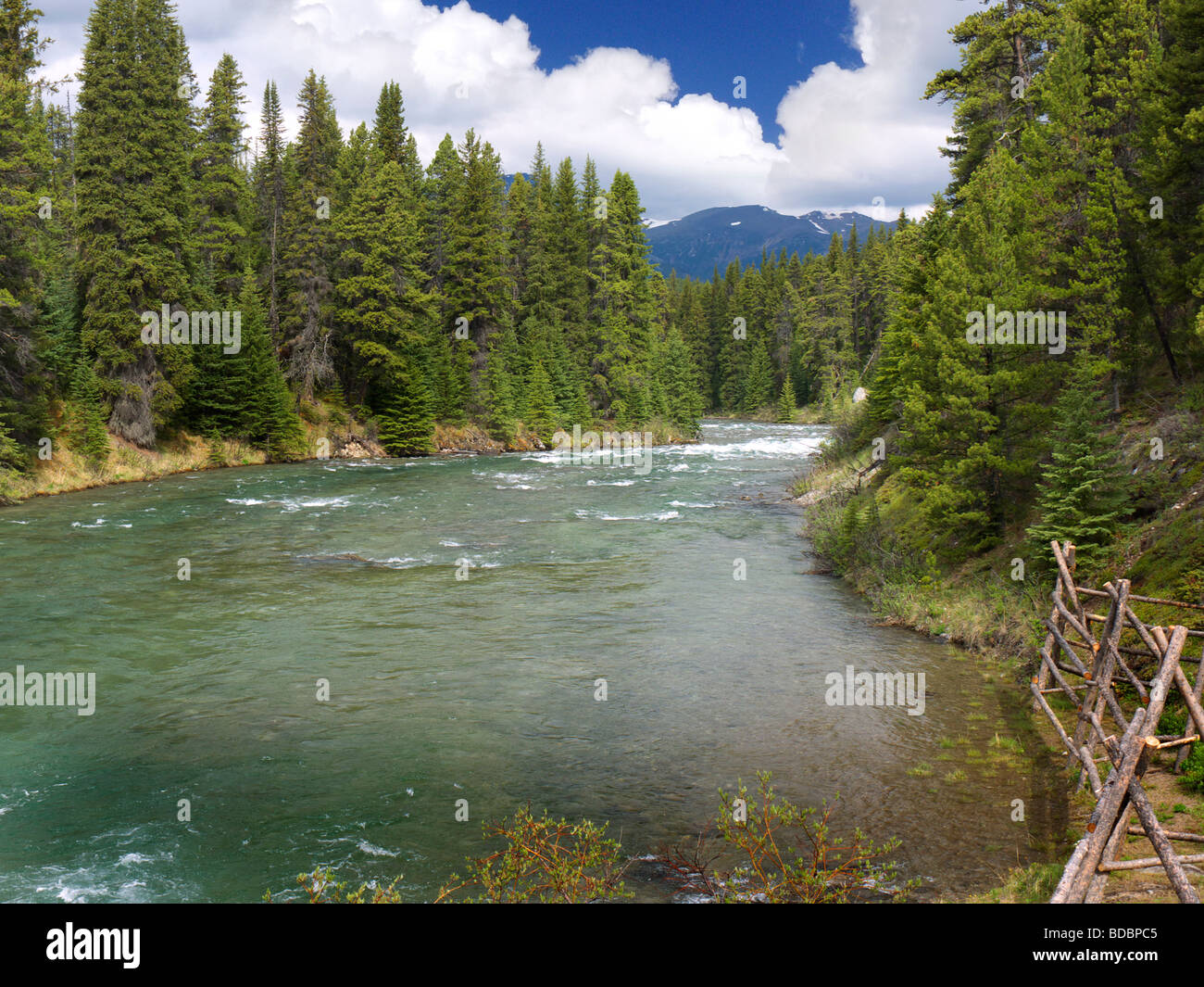 Mary schaffer hi-res stock photography and images - Alamy