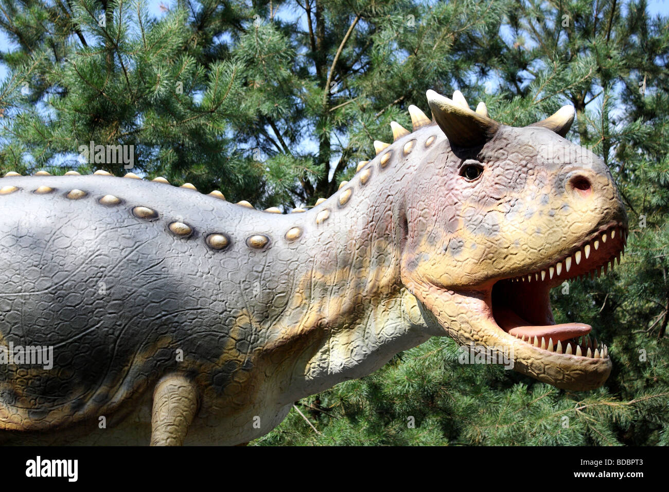Carnotaurus hi-res stock photography and images - Alamy