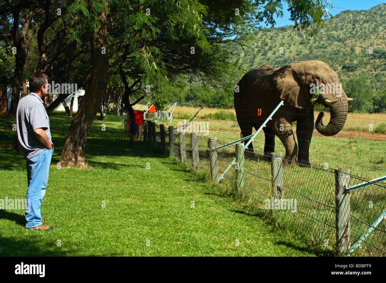 Elephant fence hi-res stock photography and images - Alamy