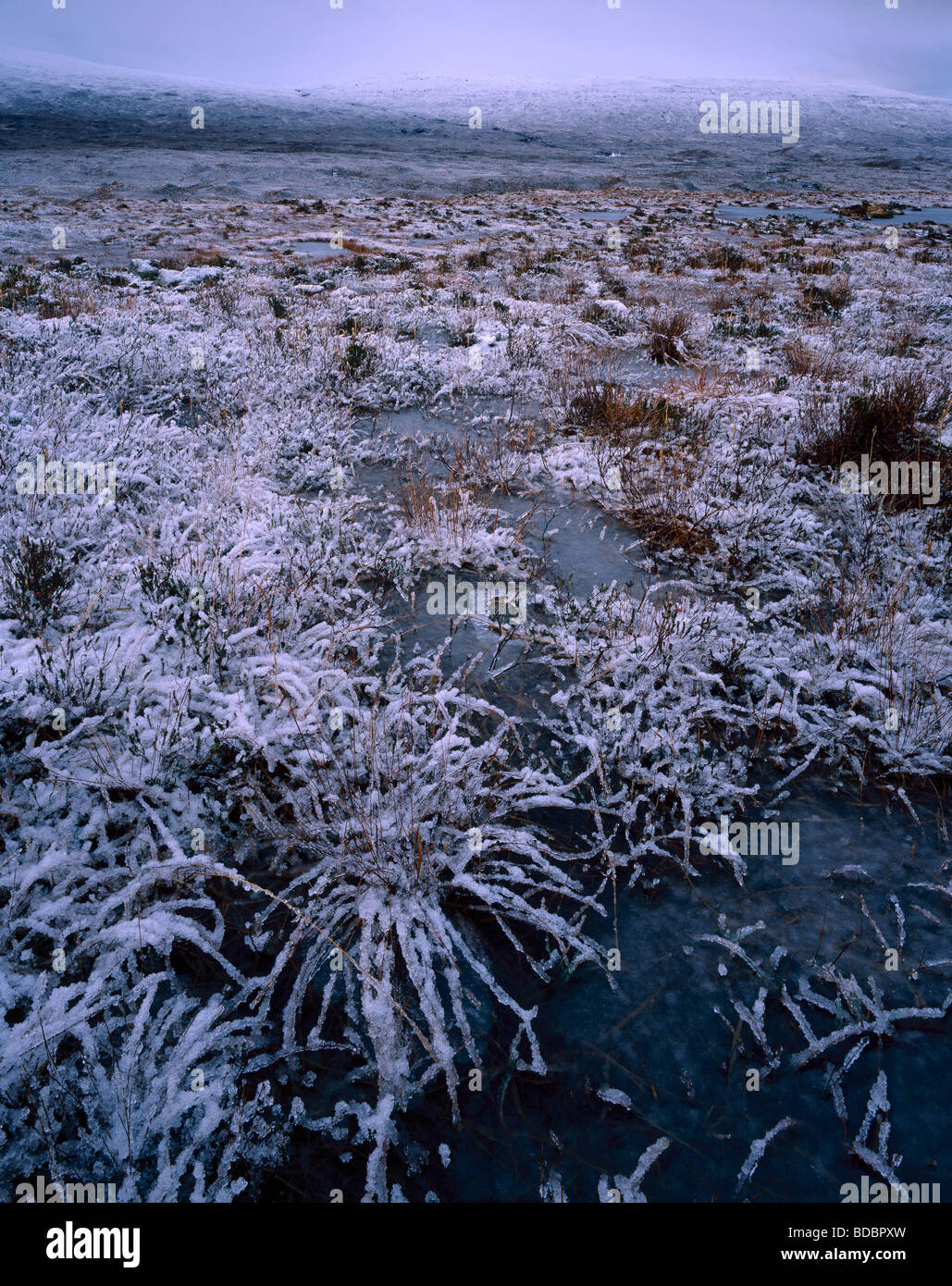Frozen moorland bog, Glen Sligachan, Isle of Skye, Scotland, UK Stock Photo - Alamy