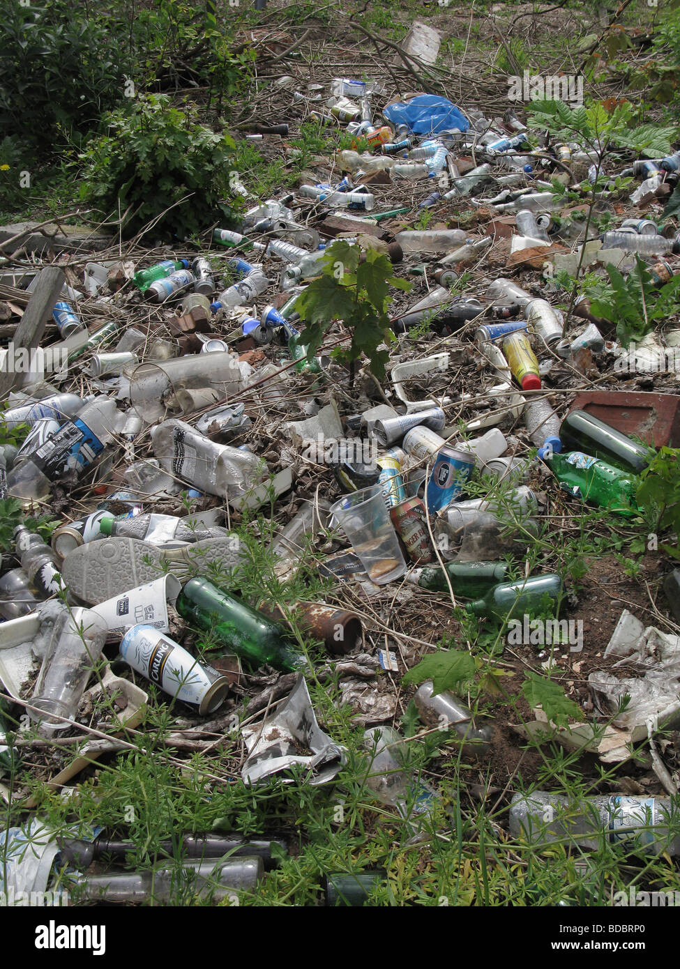 Bottles and drinks cans dumped on waste ground near Aston University ...