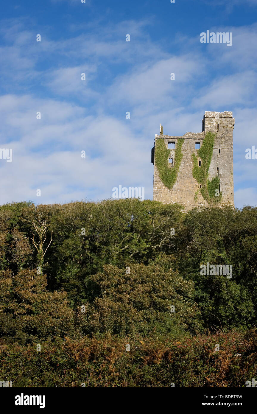 Castle in Co Clare, Ireland Stock Photo - Alamy