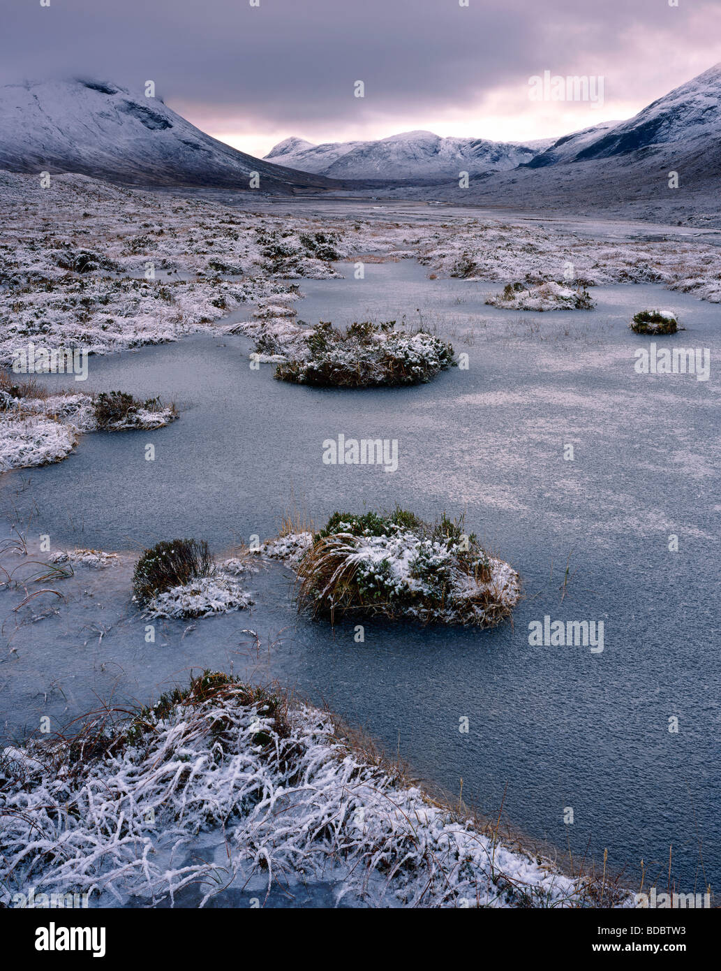 Frozen moorland bog, Glen Sligachan, Isle of Skye, Scotland, UK Stock ...
