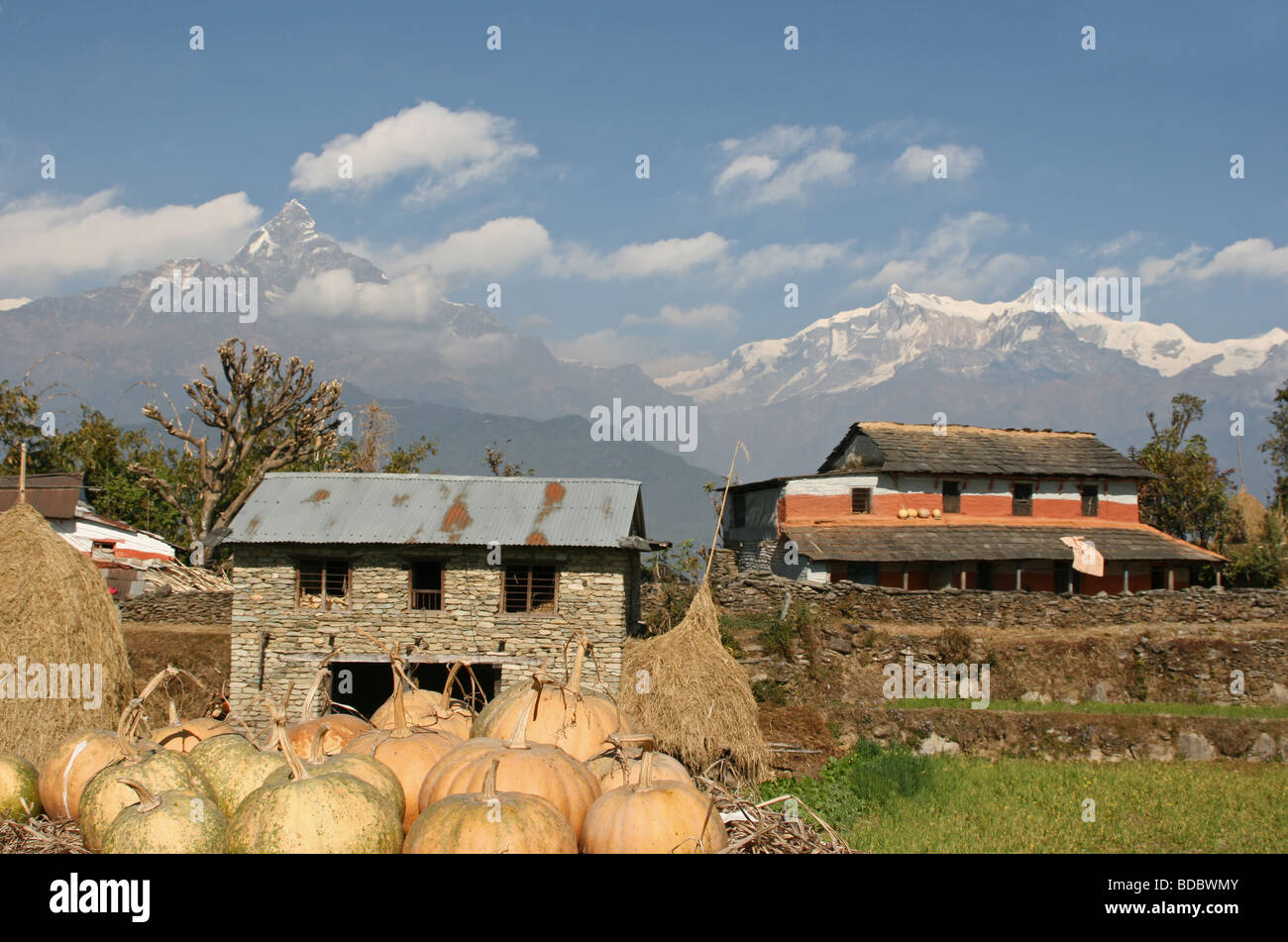 Rural houses in nepal hi-res stock photography and images - Alamy