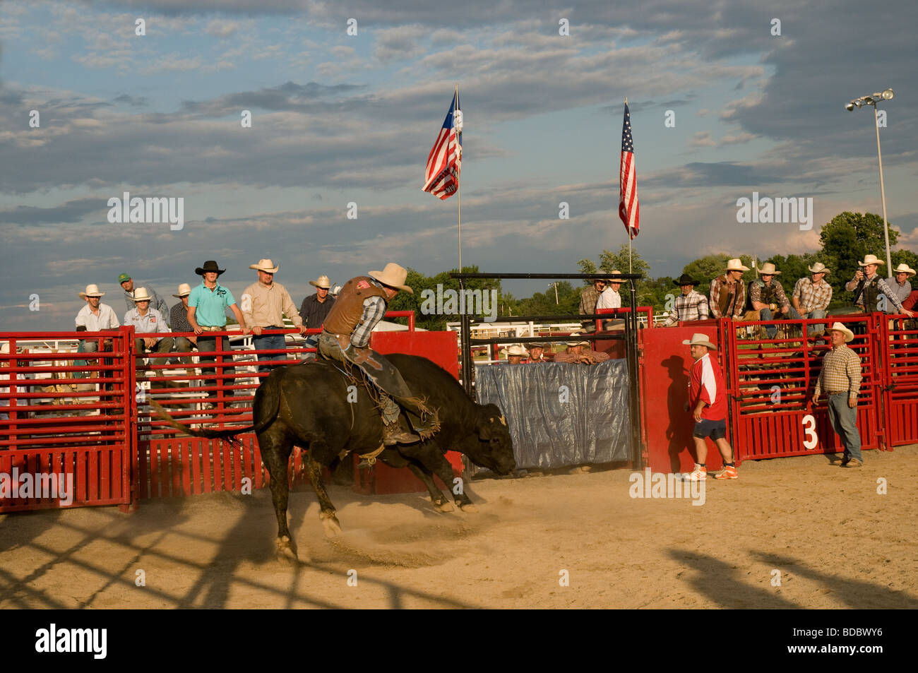 Rodeo at the Franklin county fair. Hilliard, Ohio Stock Photo - Alamy