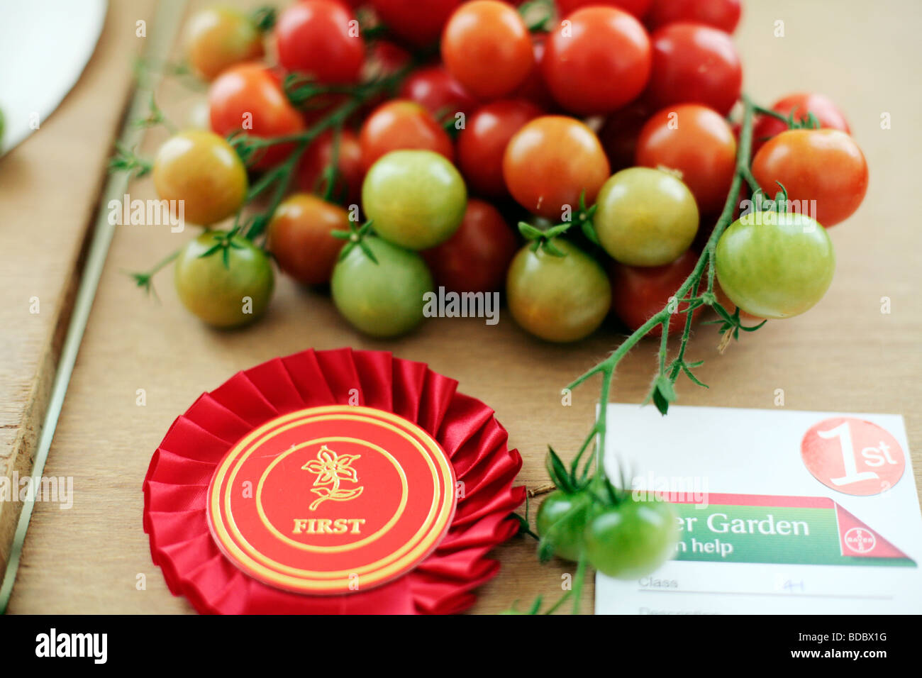 Vegetable Growing Competition Stock Photos & Vegetable Growing ...