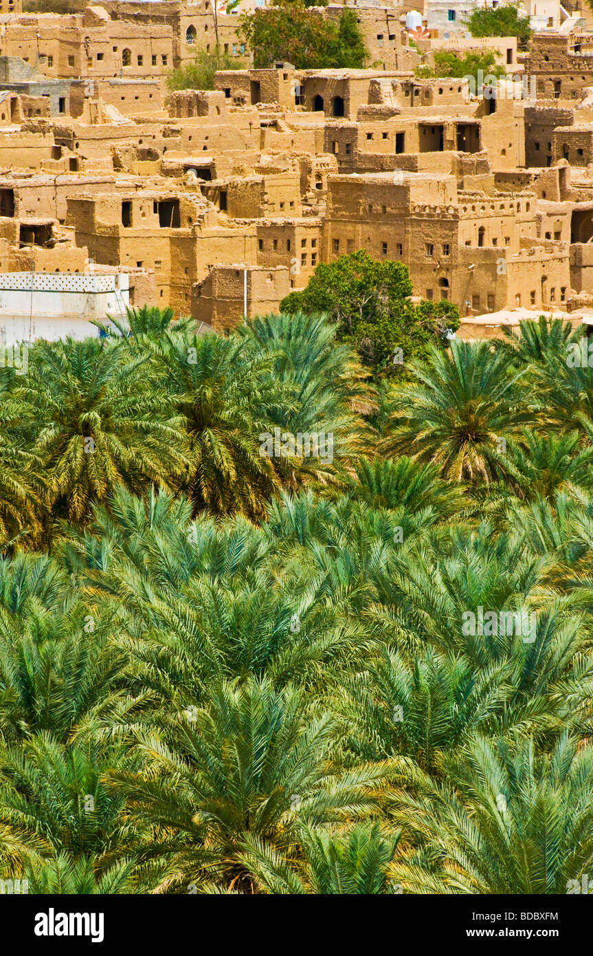 Palm trees in front of the town of Al Hamra Sultanate of Oman Stock ...