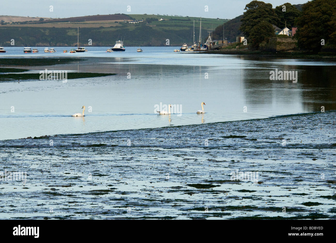 Courtmacsherry Estuary, West Cork, Ireland Stock Photo - Alamy