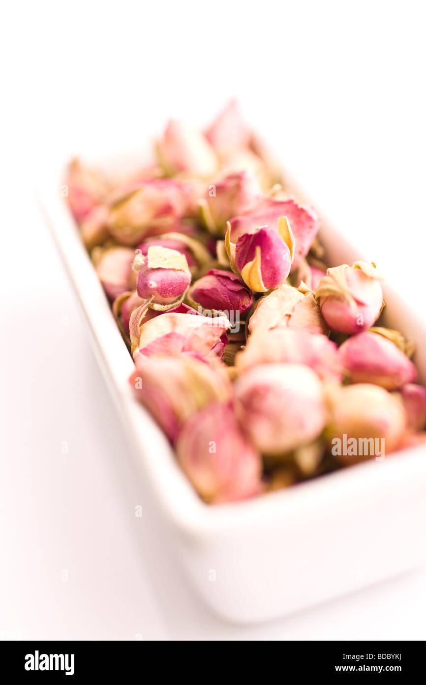 High-key image of dried red roses in a white porcelain container Stock ...