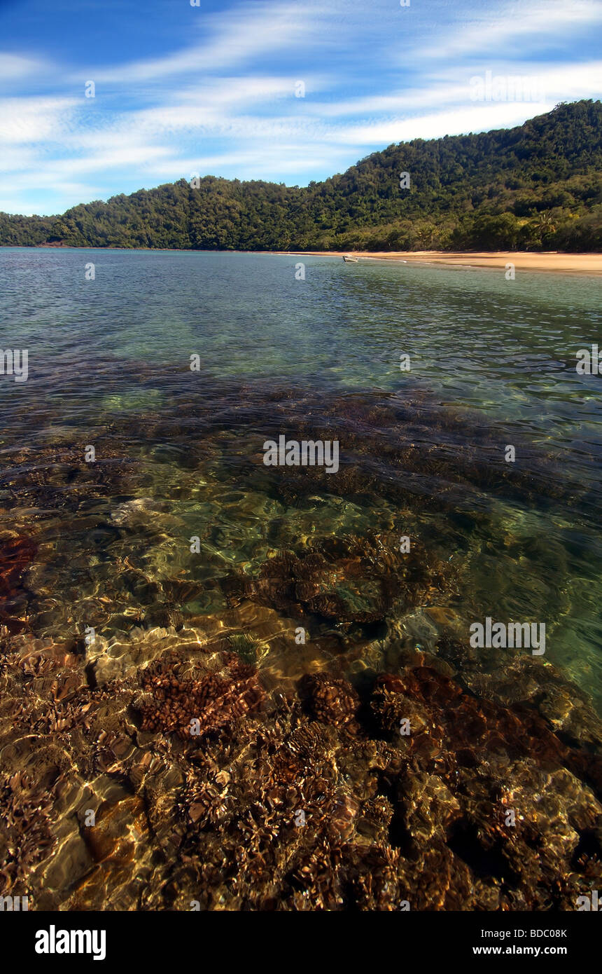 Coral reef beach and rainforest of Shipwreck Bay Daintree National Park ...