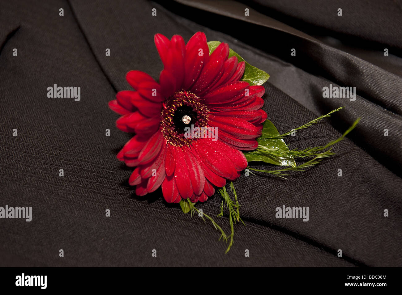 Close up of jewelled red Gerbera flower wedding buttonhole on the lapel ...