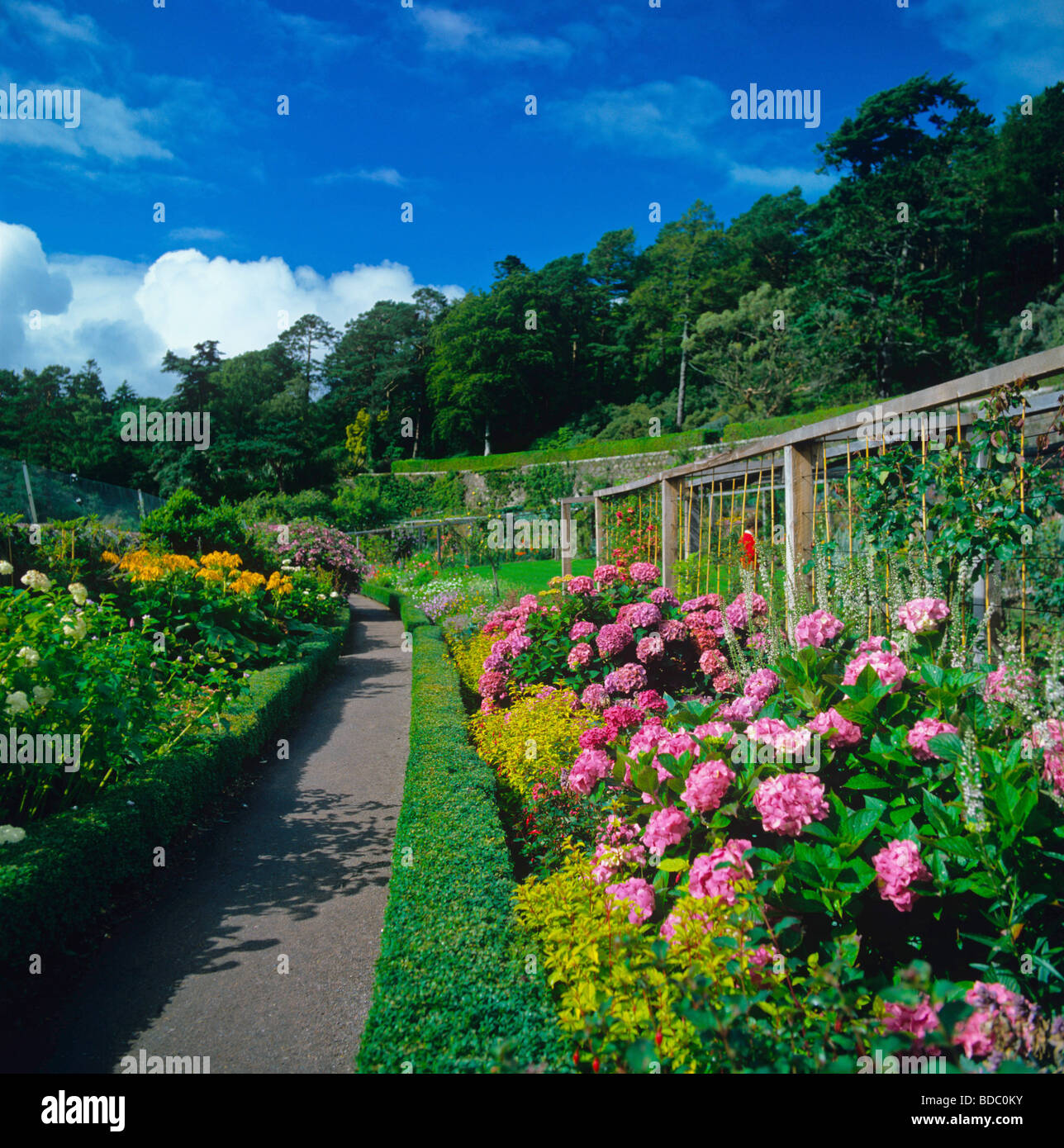 The surprising tropical garden of Inverewe on the top of the West Coast ...