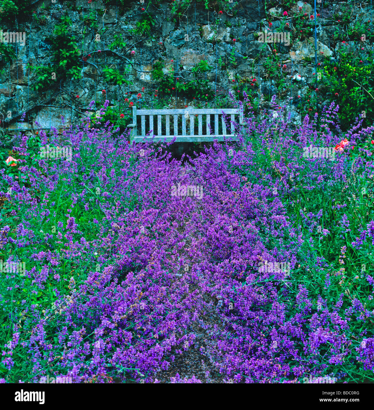 The surprising tropical garden of Inverewe on the top of the West Coast ...