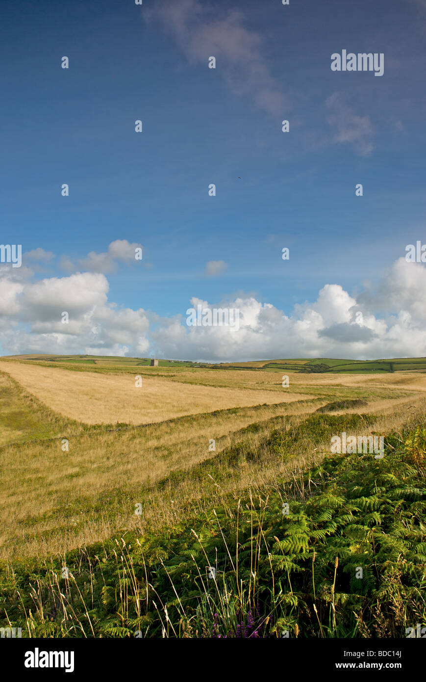 fields and monument, cornwall Stock Photo - Alamy