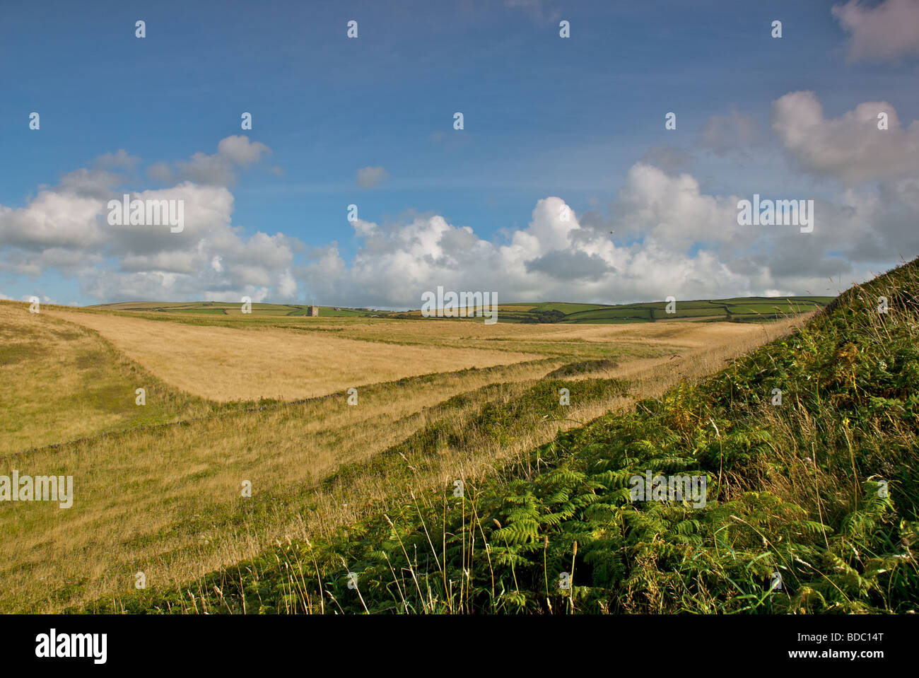 Cornwall fields hi-res stock photography and images - Alamy