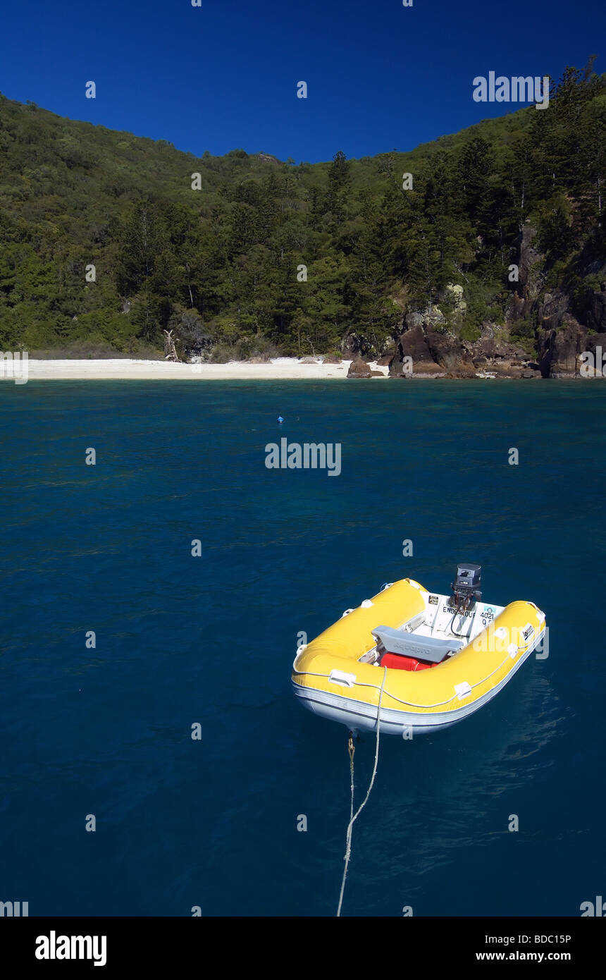 Manta ray bay whitsunday hi-res stock photography and images - Alamy