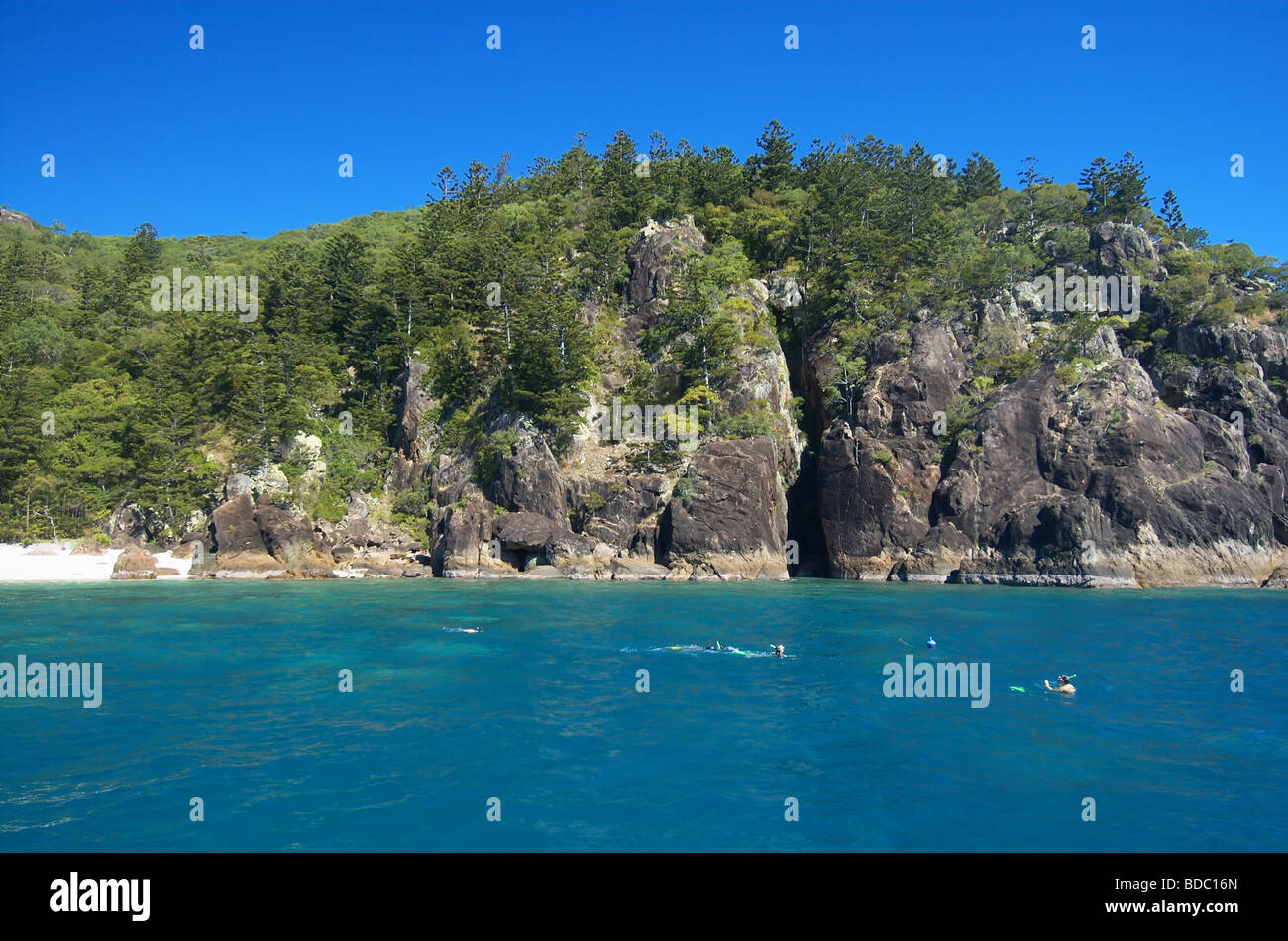 Snorkellers in Manta Ray Bay Hook Island Whitsunday Islands National ...
