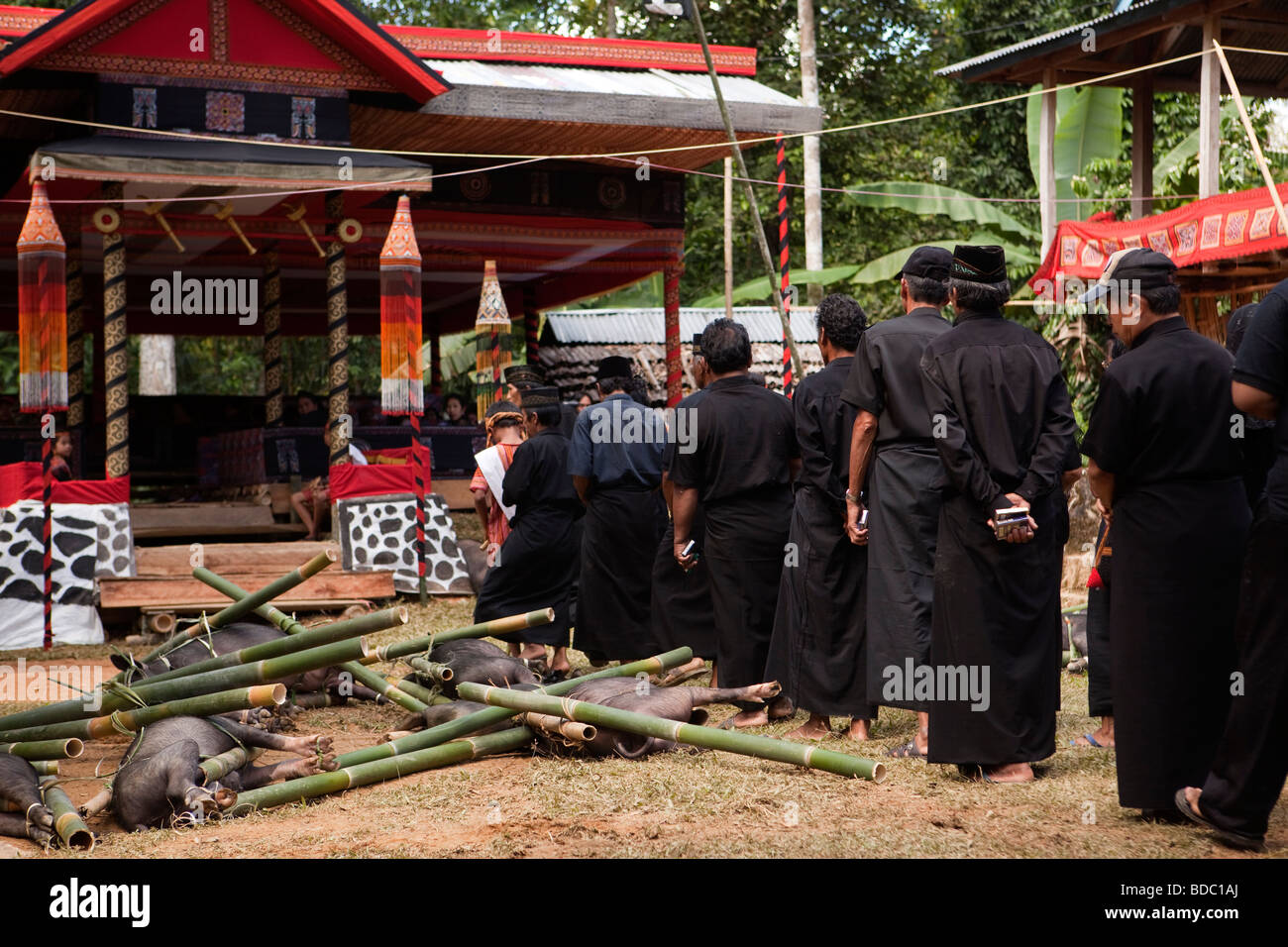 Indonesia Sulawesi Tana Toraja Torajan funeral traditionally dressed ...