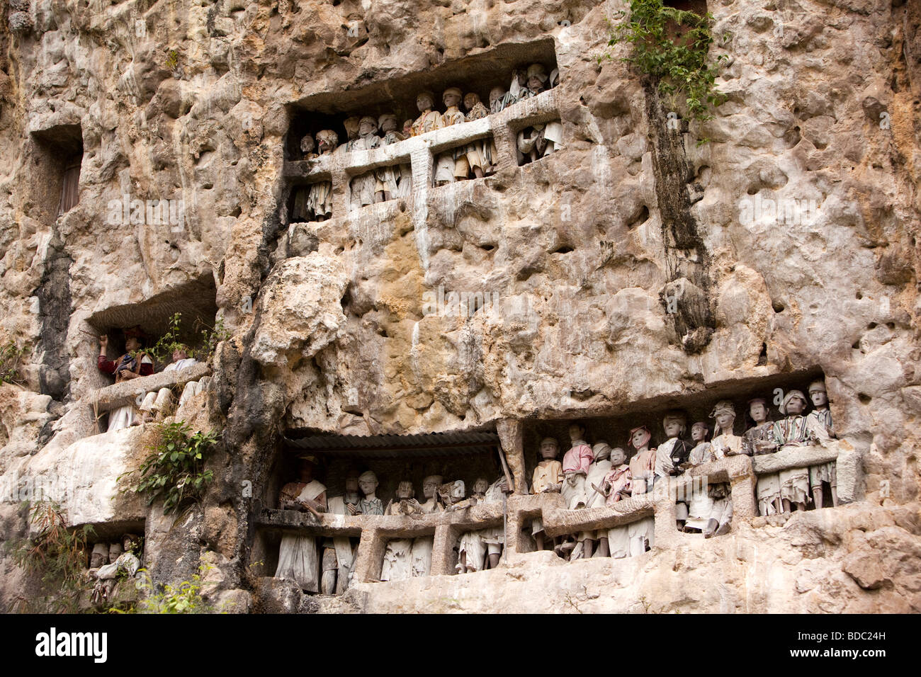 Indonesia Sulawesi Tana Toraja Suaya royal funeral site tau tau on ...