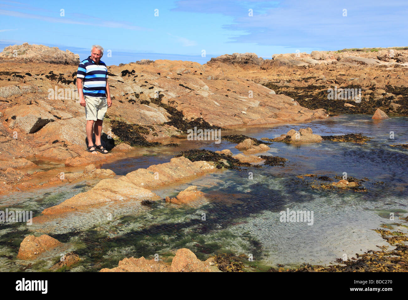 Man looking at rocks in Grandes Roques Guernsey Channel Islands Stock ...