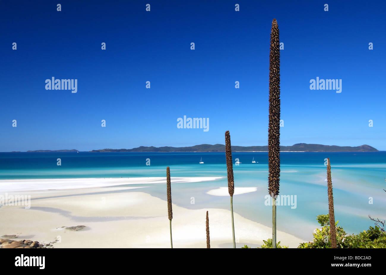 Hill Inlet, Whitsunday Islands National Park, Queensland, Australia ...