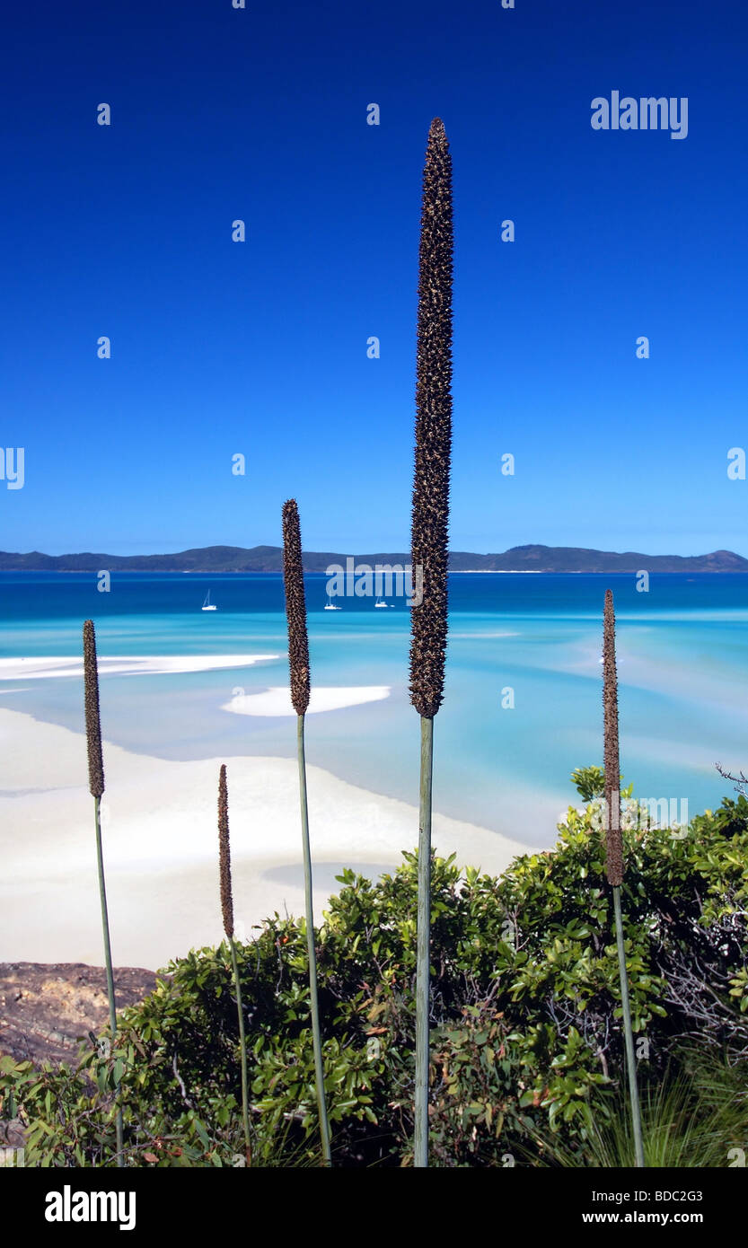 Hill Inlet Whitsunday Islands National Park Queensland Australia Stock ...