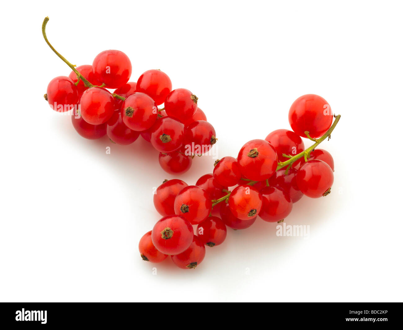 Fresh whole redcurrant hi-res stock photography and images - Alamy