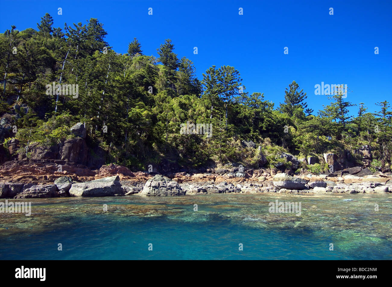 Fringing coral reefs and hoop pine forest of Dumbell Island, Whitsunday ...