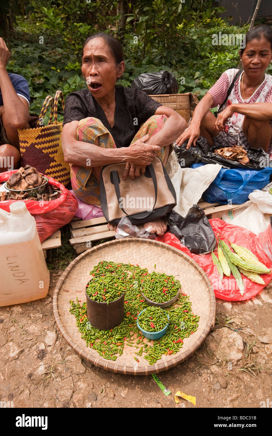 Rural indonesian women hi-res stock photography and images - Alamy